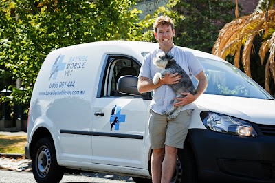 Vets in Port Melbourne | Port Melbourne Veterinarian Clinics